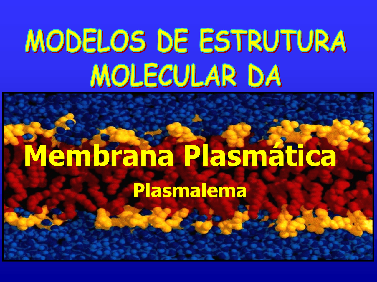 Modelosdamembrana Plasmáticapdf Docsity