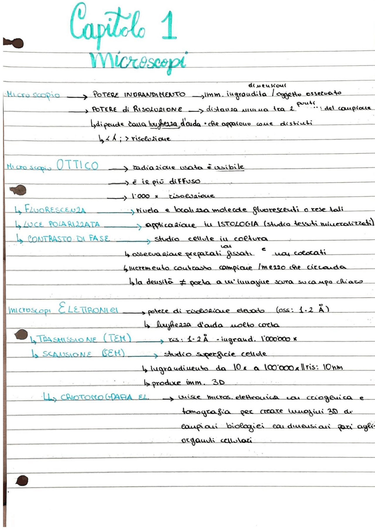Schemi Istologia E Mappe Concettuali Appunti Di Istologia Docsity