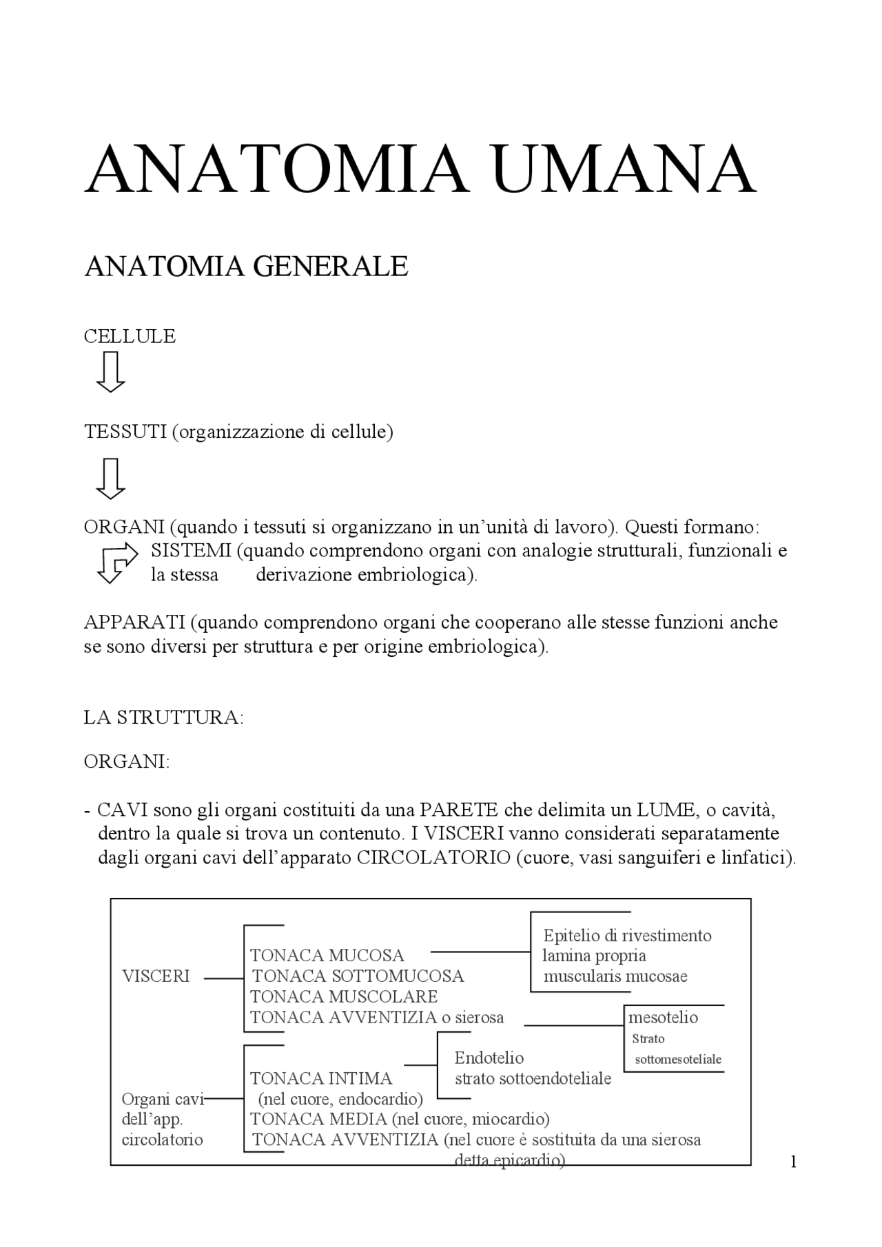 Dispense Anatomia Generale Docsity