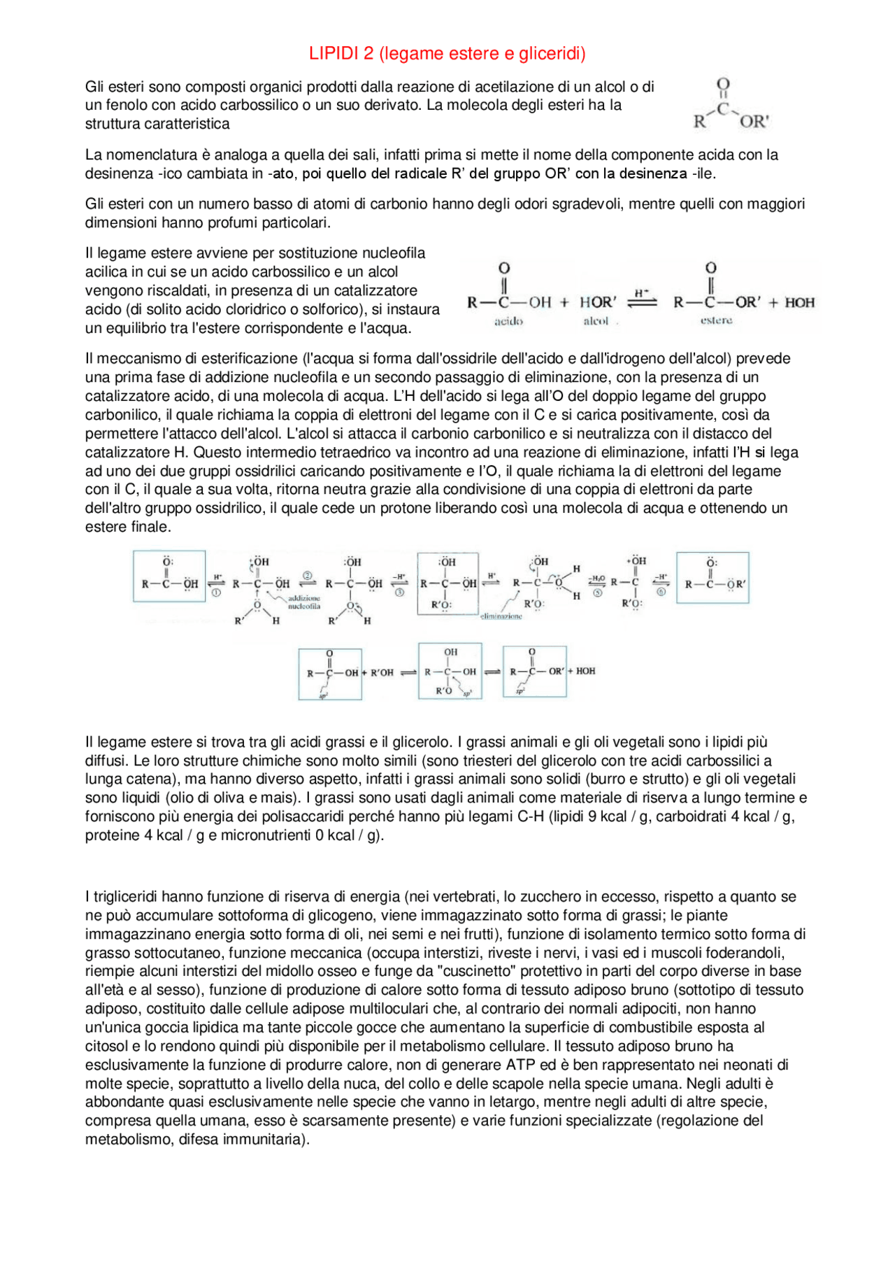 Lipidi Grassi Parte 2 Su 4 Docsity