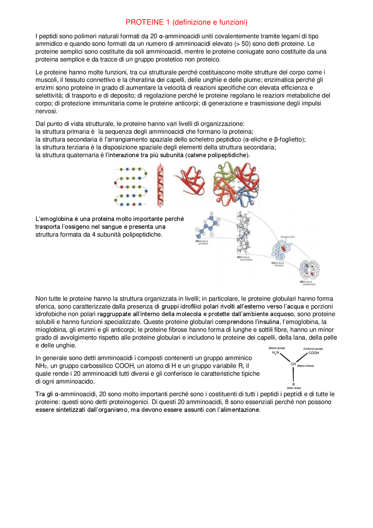 Proteine Parte 1 Su 8 Docsity