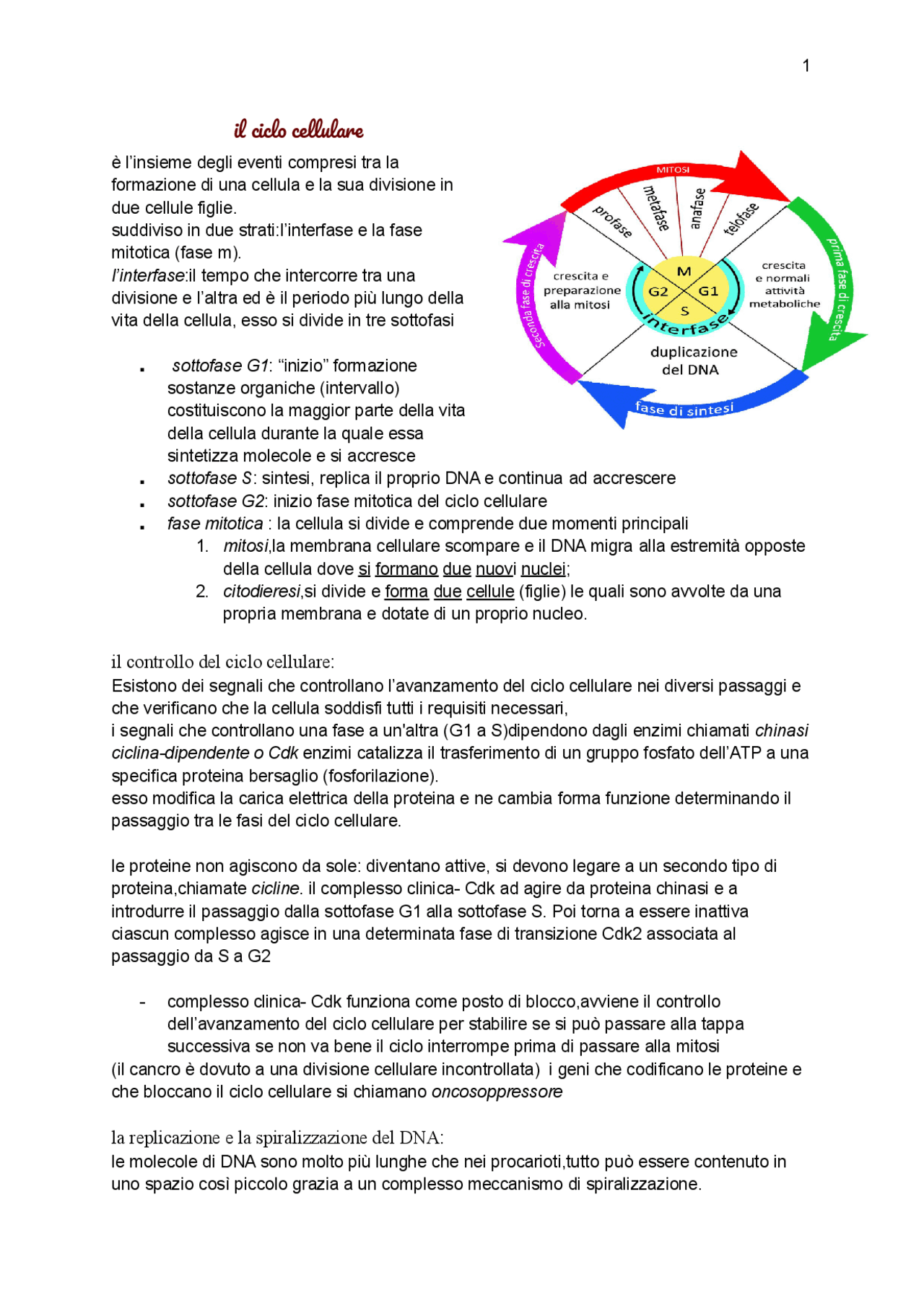 Il Ciclo Cellulare Mitosi E Meiosi Docsity