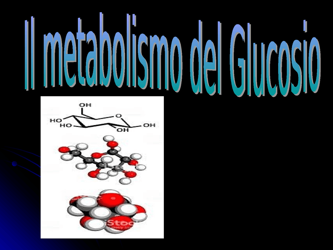 Metabolismo Del Glucosio Docsity