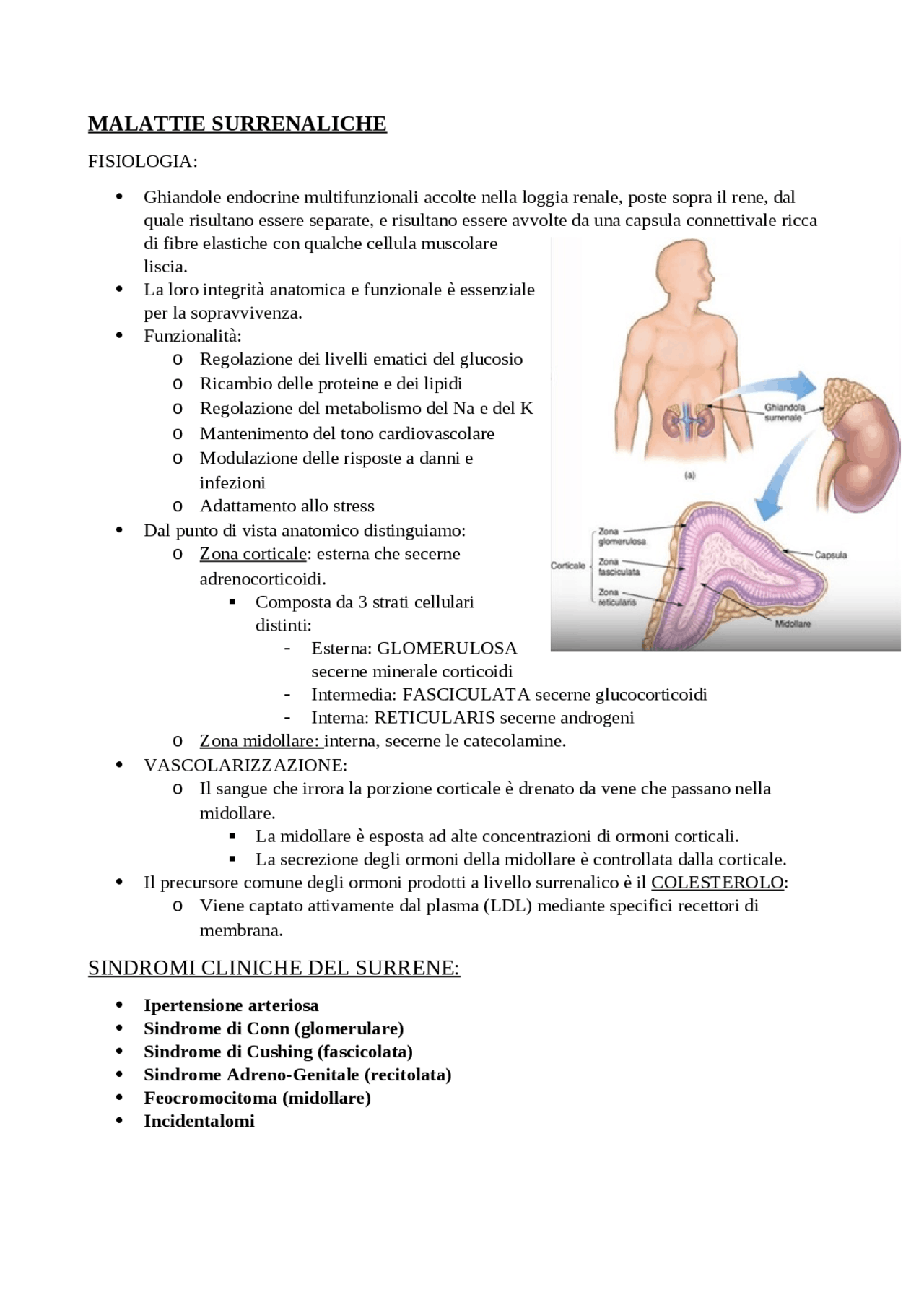 Patologie del surrene - Docsity