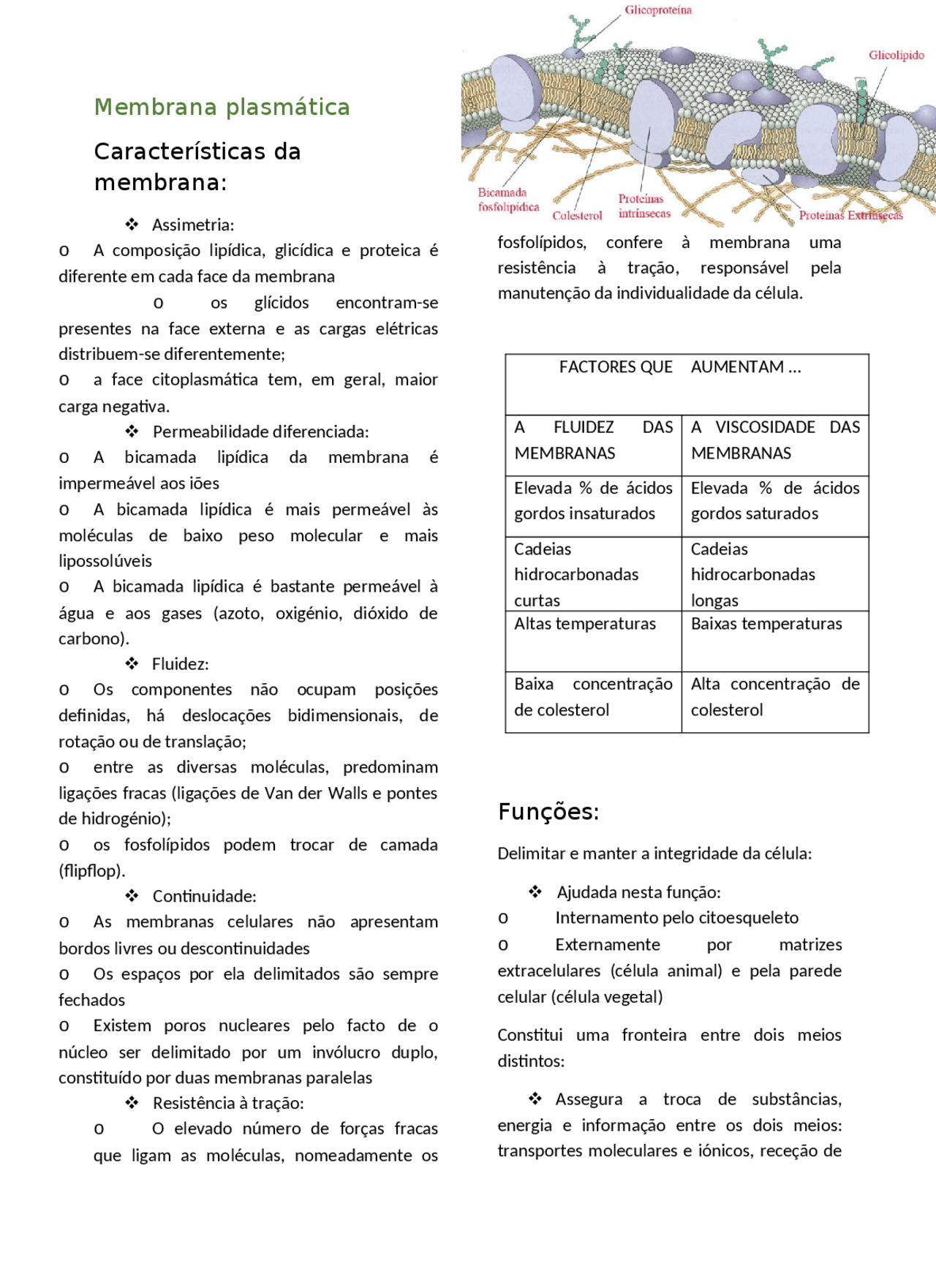 Resumo Da Membrana Plasmática Docsity