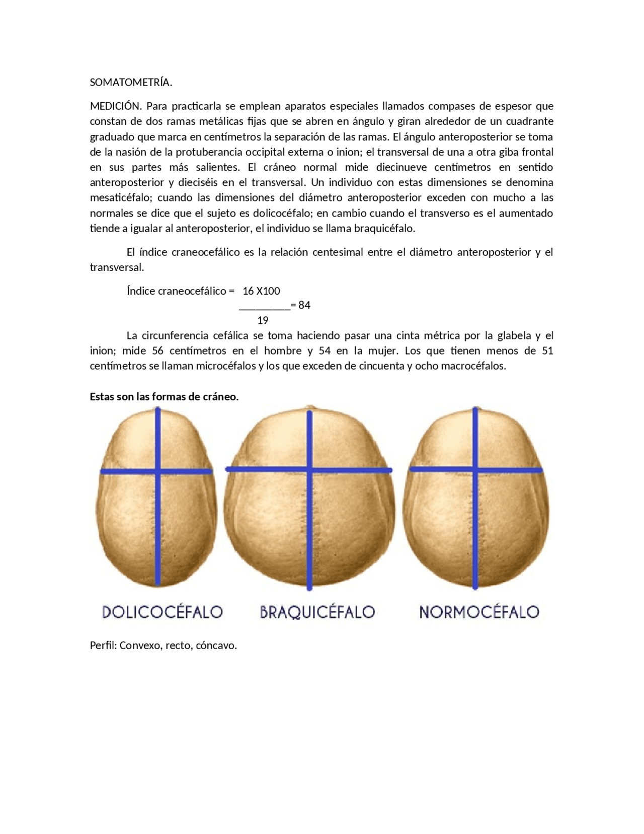 Anatomía Del Sistema Estomatognático Docsity