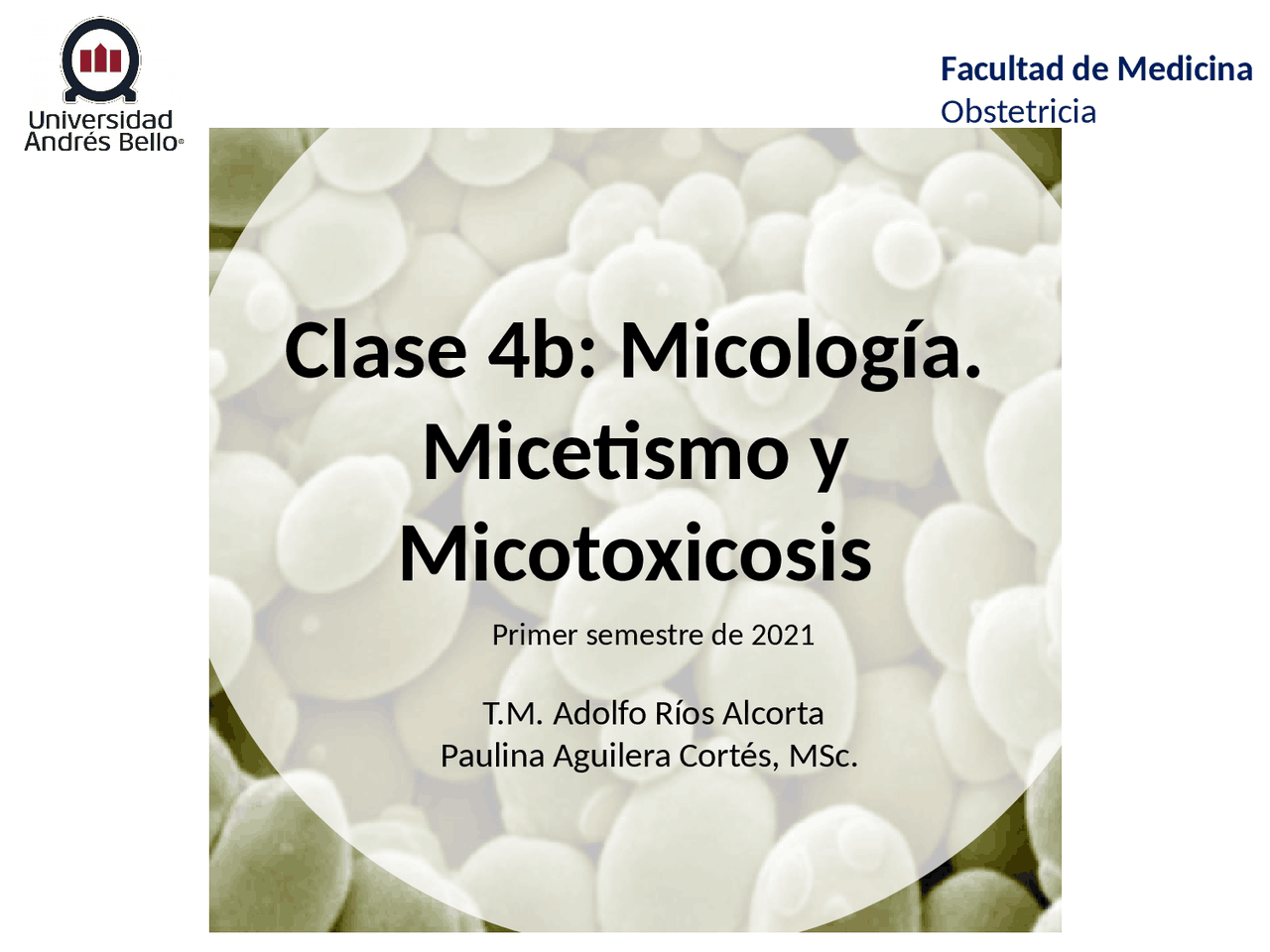 MICETISMO Y MICOTOXICOSIS - Docsity