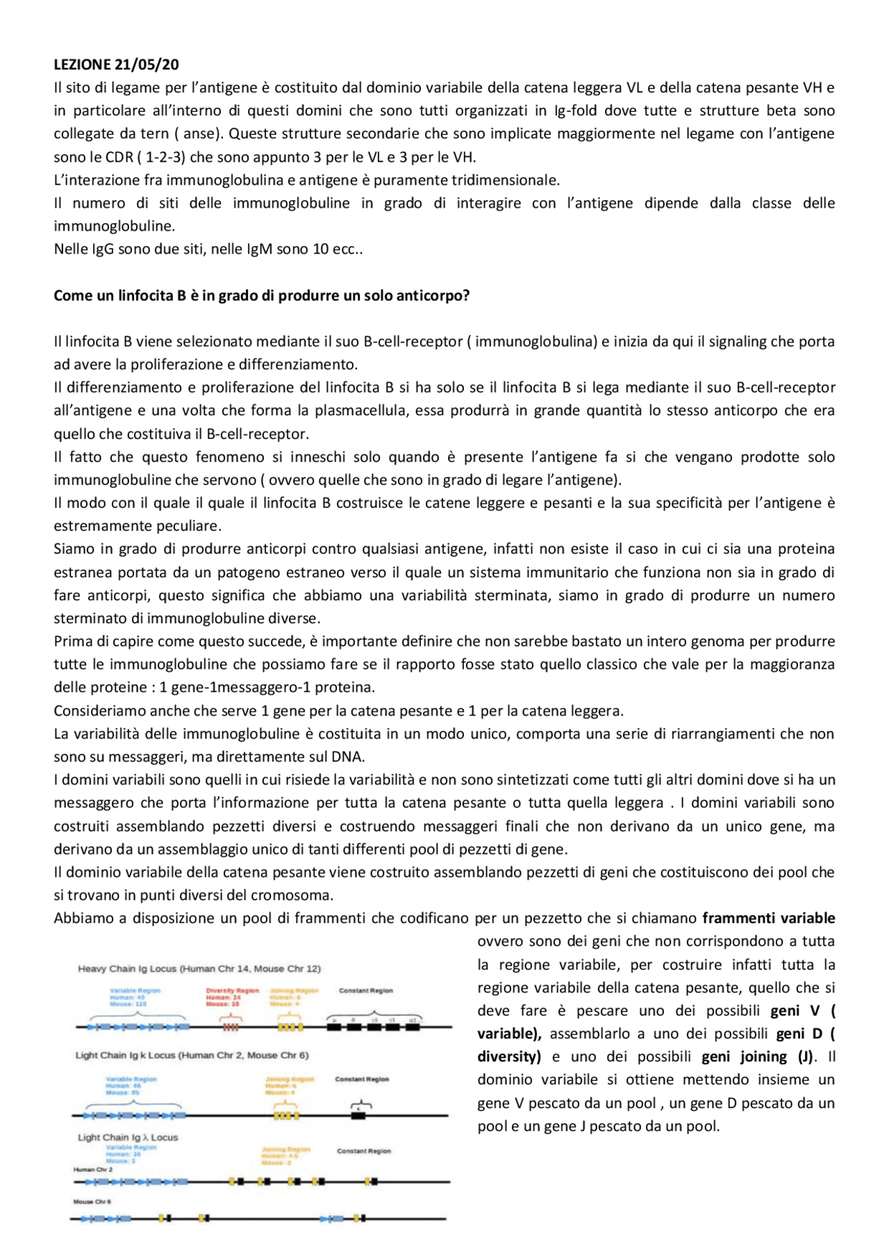 Risposta immunitaria (seconda parte) - Docsity