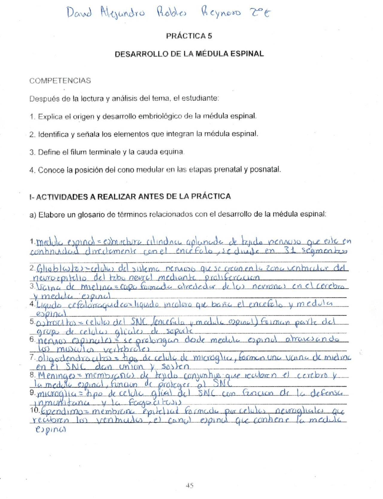 Practica Embriología 8 Docsity