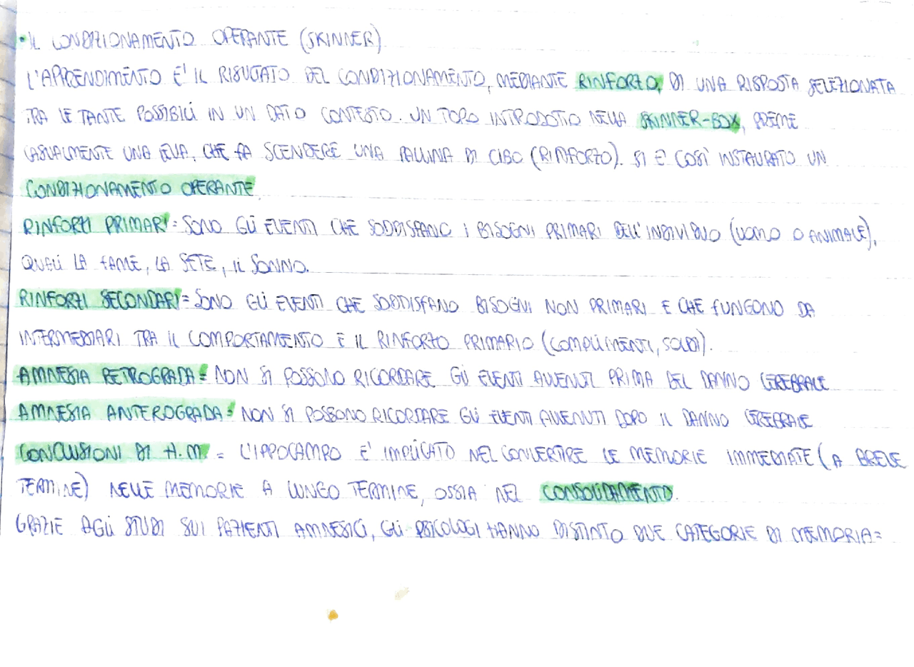 Il Condizionamento Operante Skinner Docsity