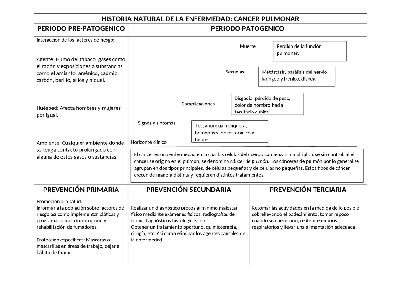 Historia Natural De Cancer Pulmonar Esquemas Y Mapas Conceptuales De