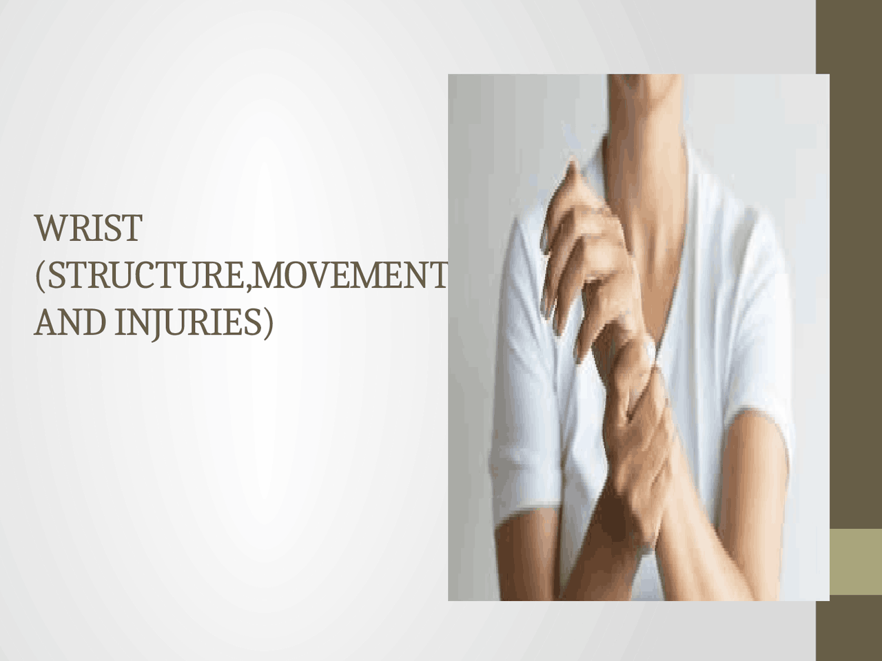 Structure of the wrist - Docsity
