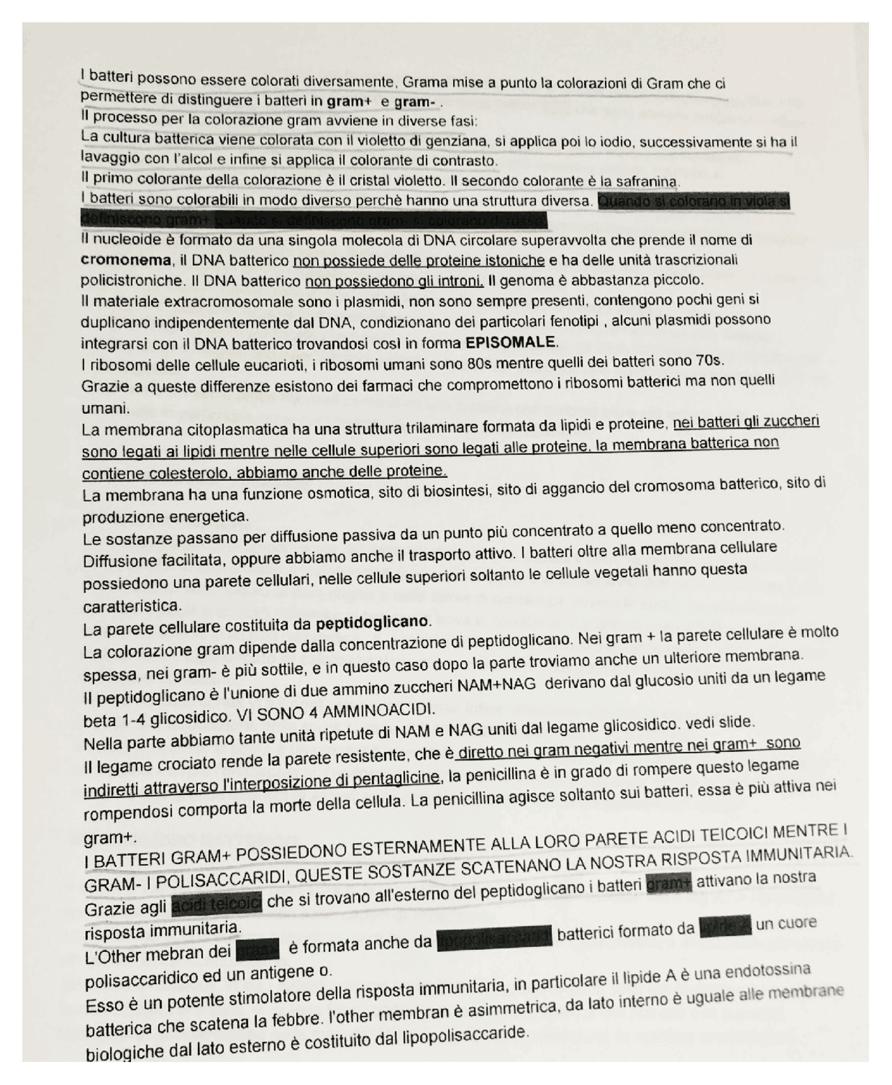 Batteri Infermieristica Appunti Top Docsity