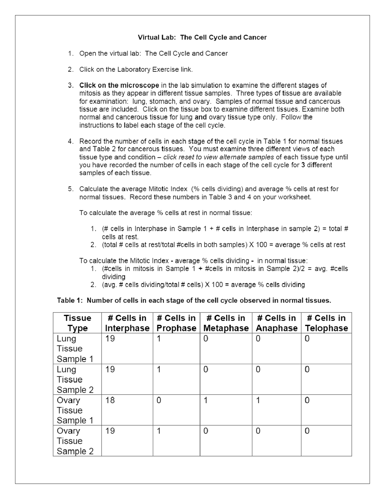 Mitosis Virtual Lab The Cell Cycle And Cancer Worksheet Answers Mitosis Virtual Lab The Cell Cycle And Cancer Worksheet Answers