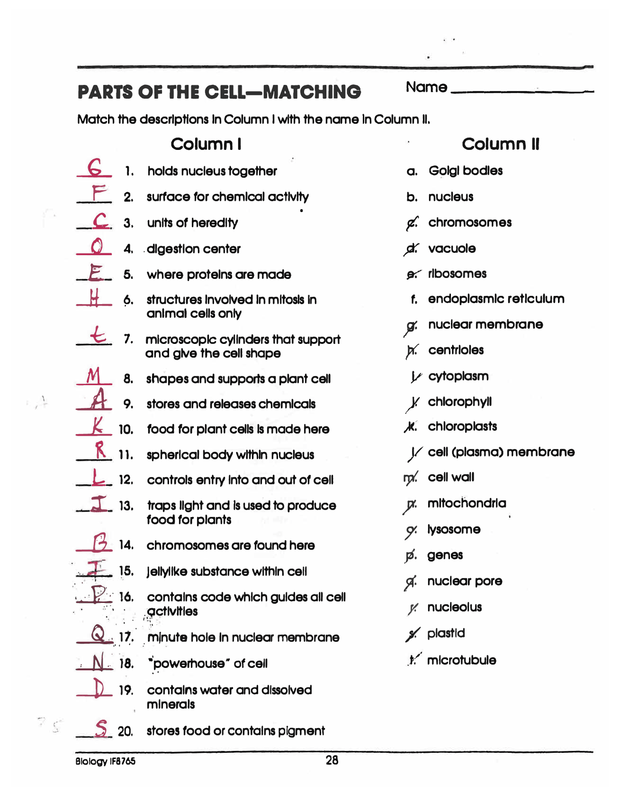 Parts Of The Cell Matching Worksheet With Answer Key Exercises Cell Parts Of The Cell Matching Worksheet With Answer Key Exercises Cell