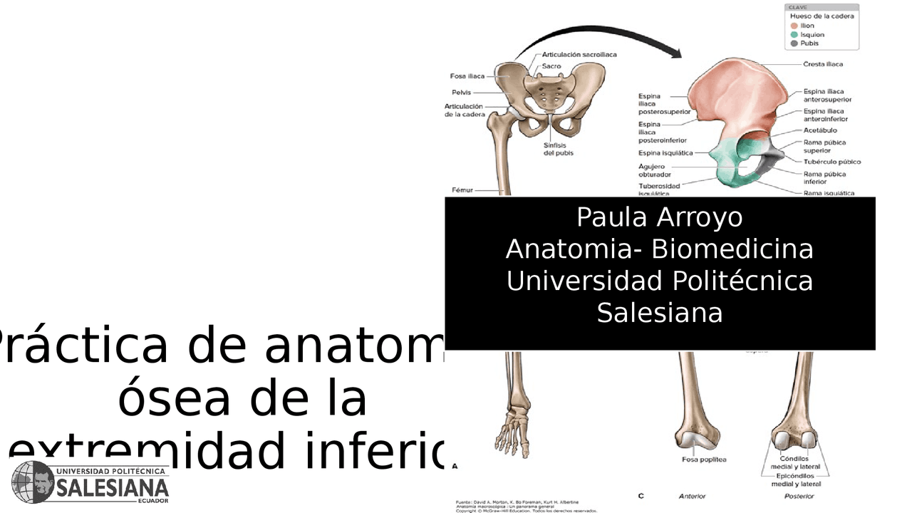 HUESOS DE LA EXTREMIDAD INFERIOR - Docsity