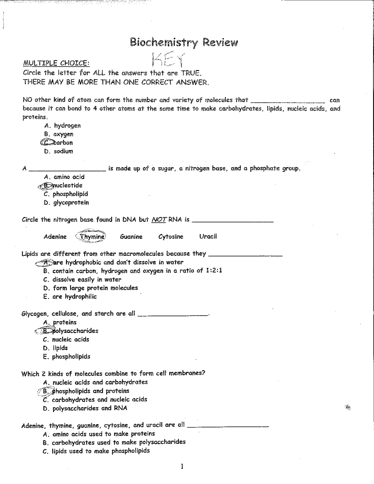 Biochemistry Study Guide Worksheet Key Docsity Biochemistry Study Guide Worksheet Key Docsity