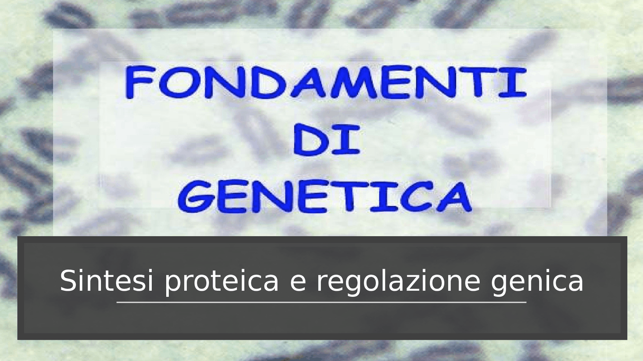 Power Point Sulla Sintesi Proteica Docsity