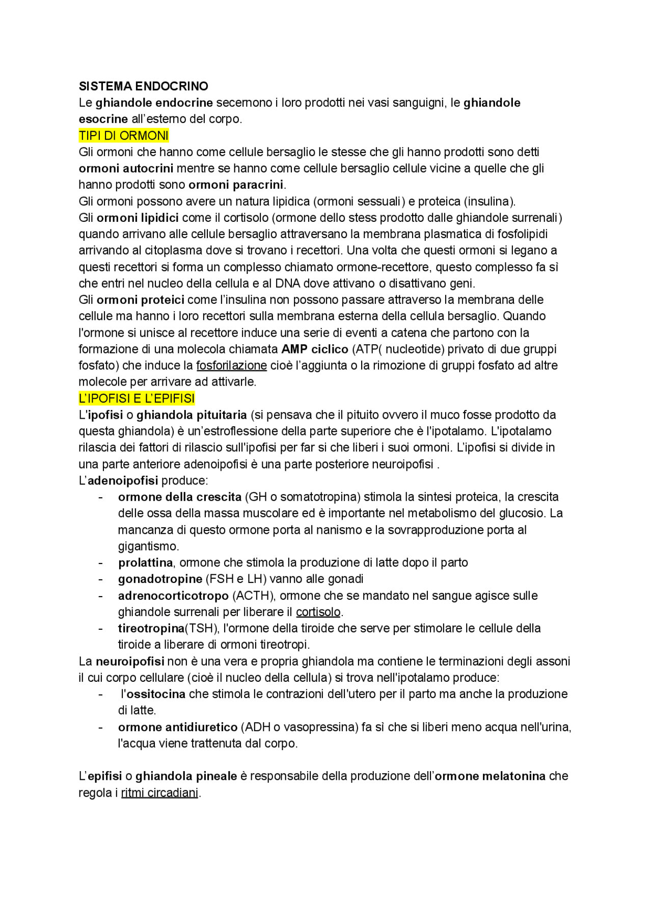 Sistema Endocrino Docsity