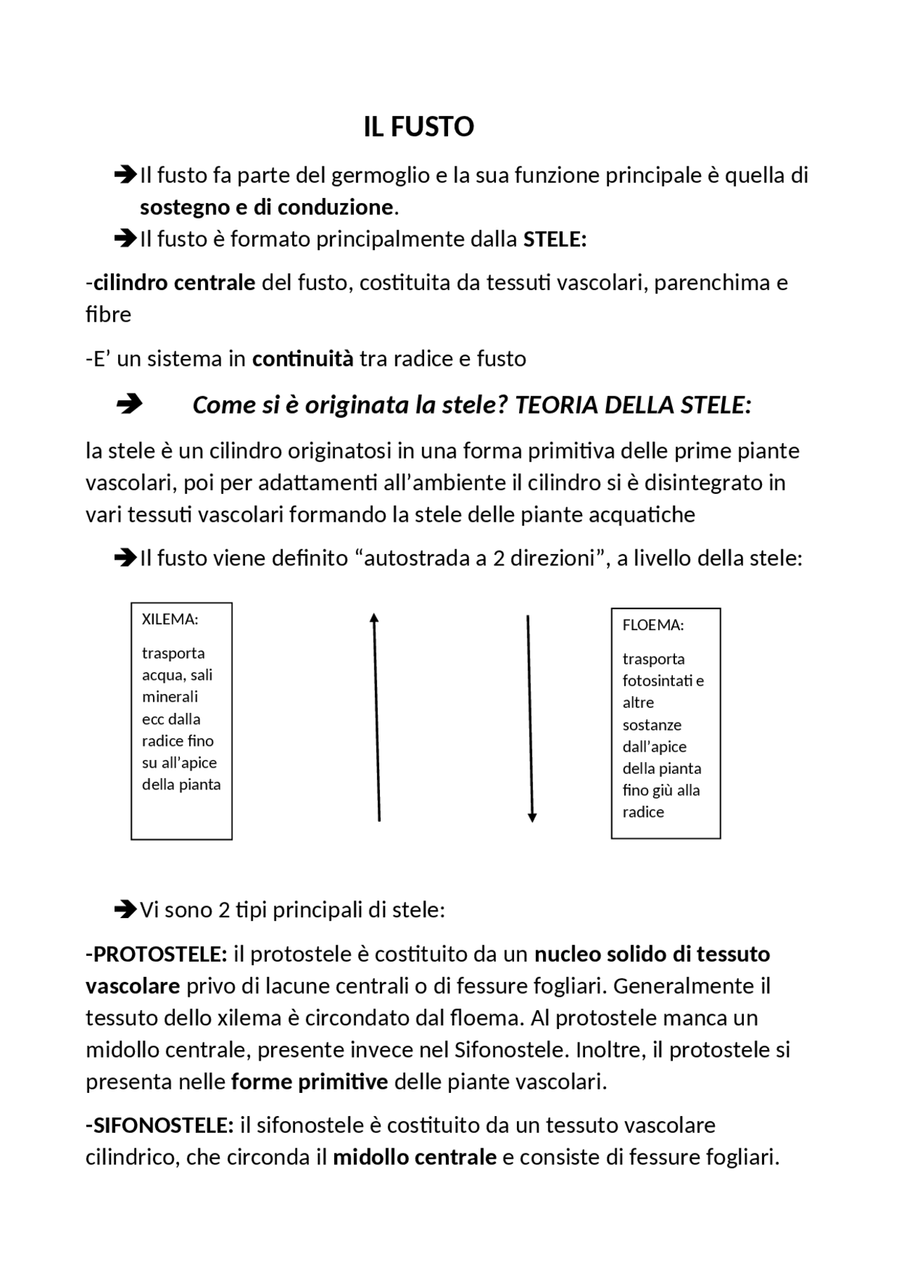 IL FUSTO DELLE PIANTE | Appunti di Biologia Vegetale | Docsity