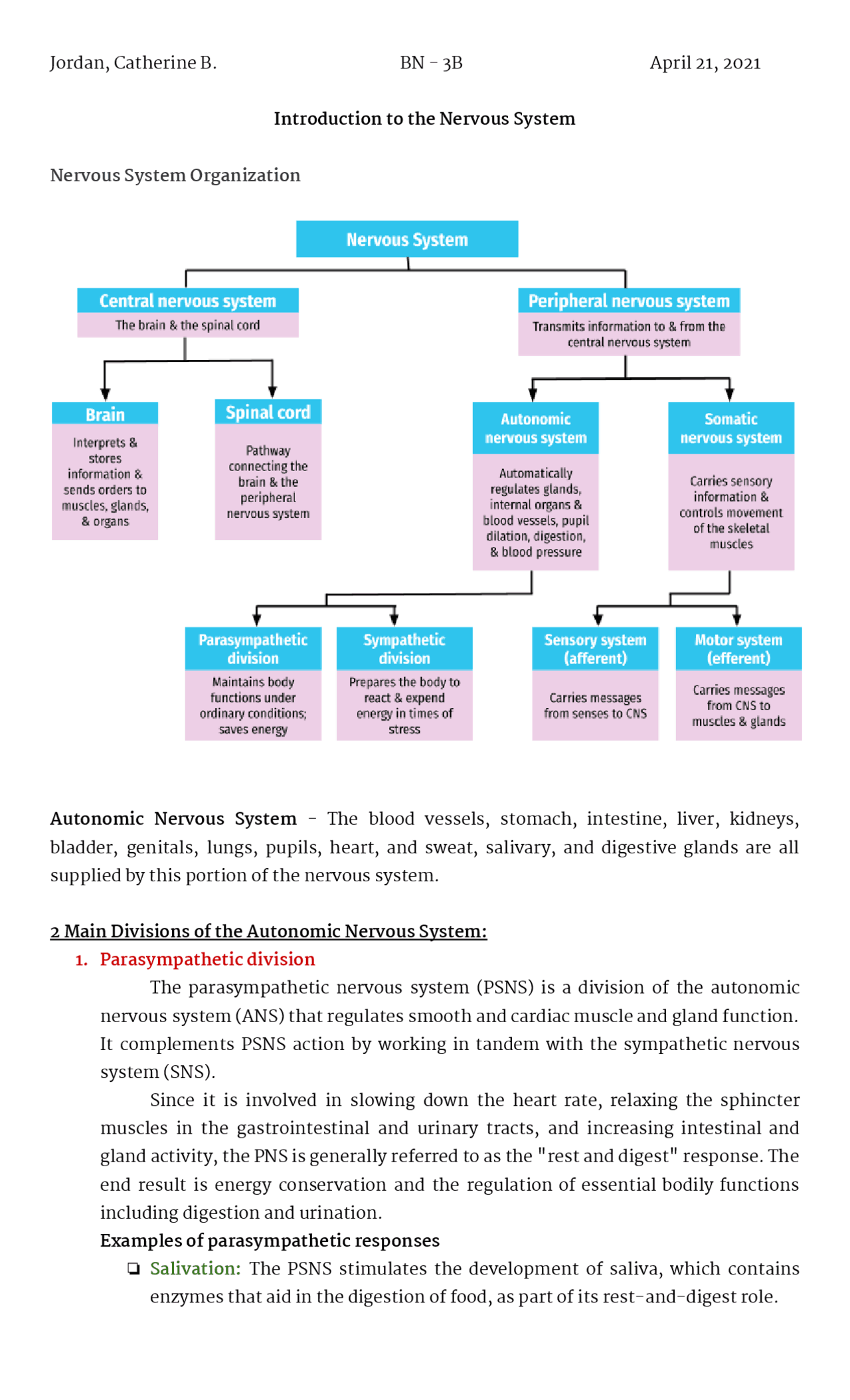 Nervous System and its structures - Docsity