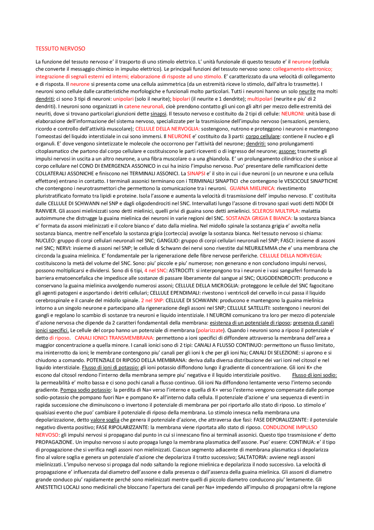 Appunti Anatomia Docsity