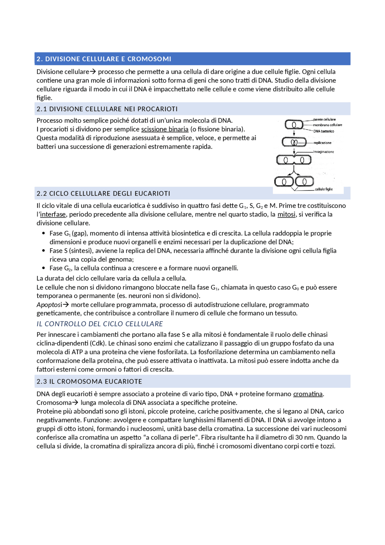 Divisione Cellulare E Cromosomi Parte 2 Docsity