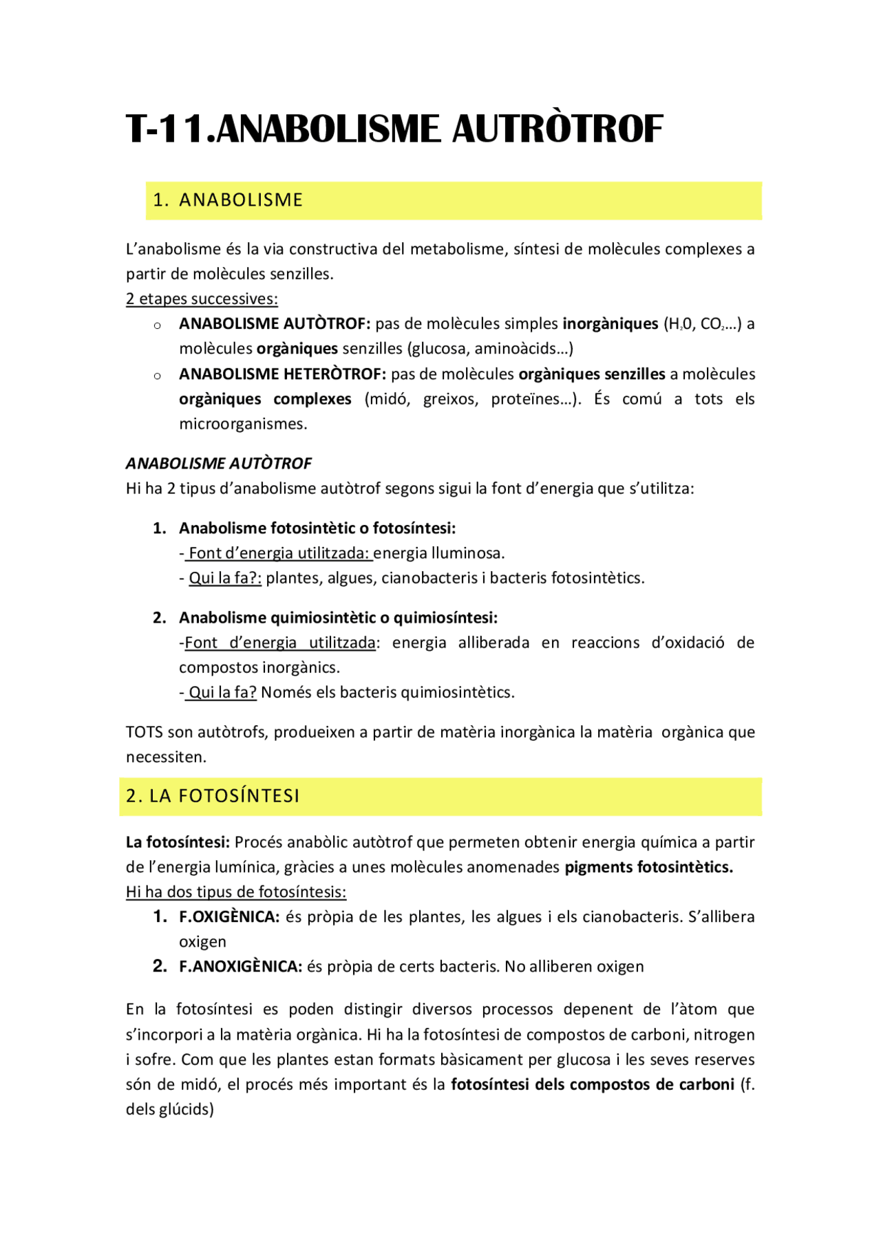 Anabolisme Autòtrof Docsity