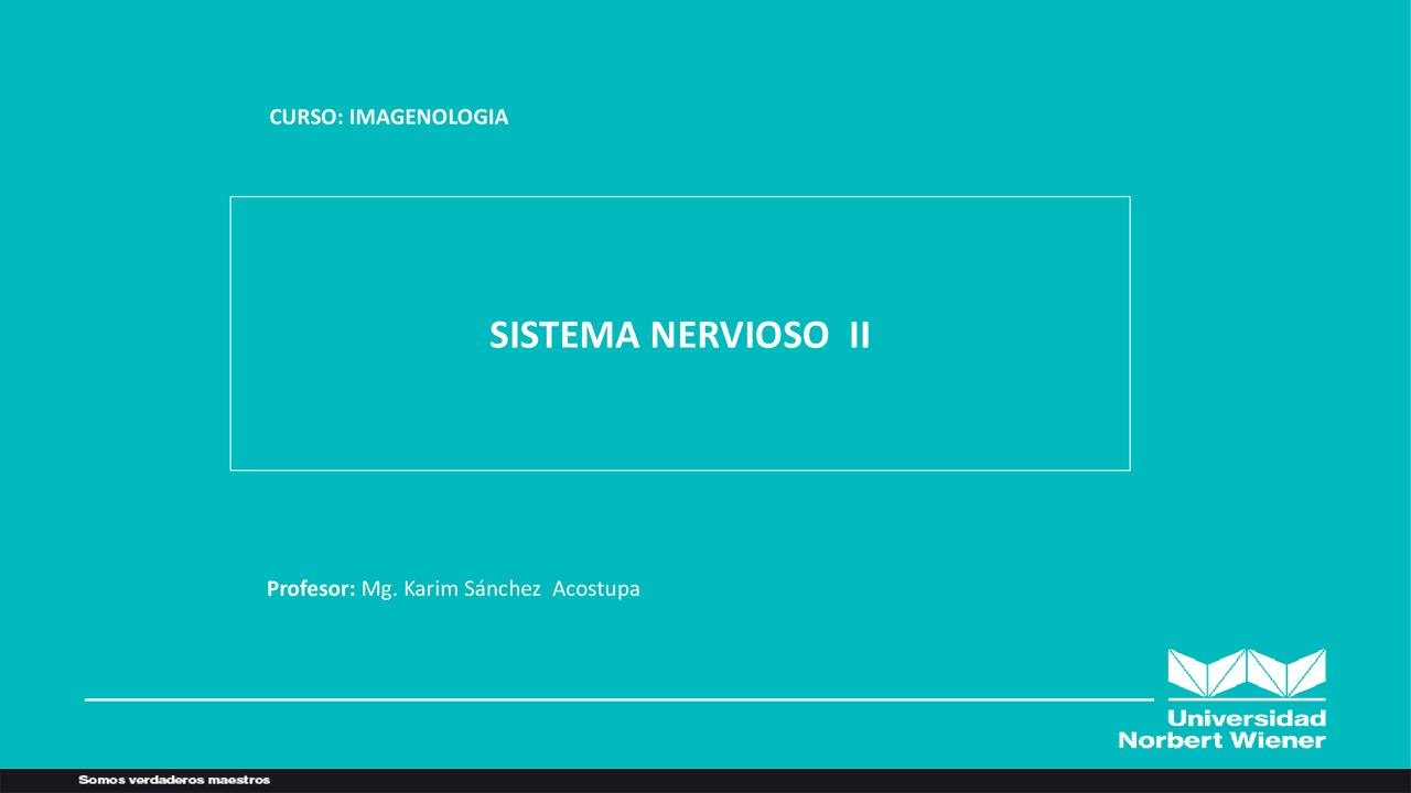 Curso De Imagenología Docsity