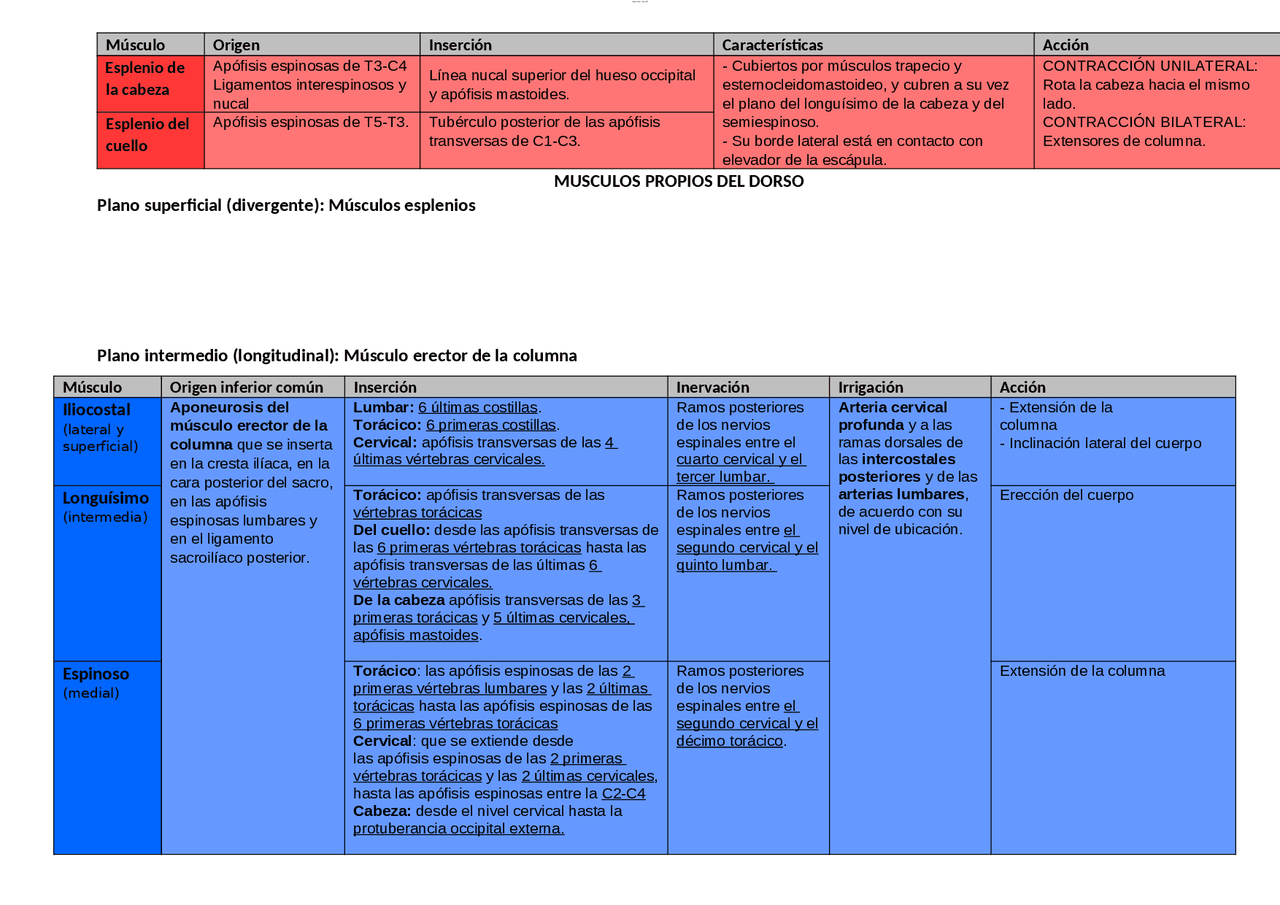 Músculos Del Dorso Anatomía Docsity