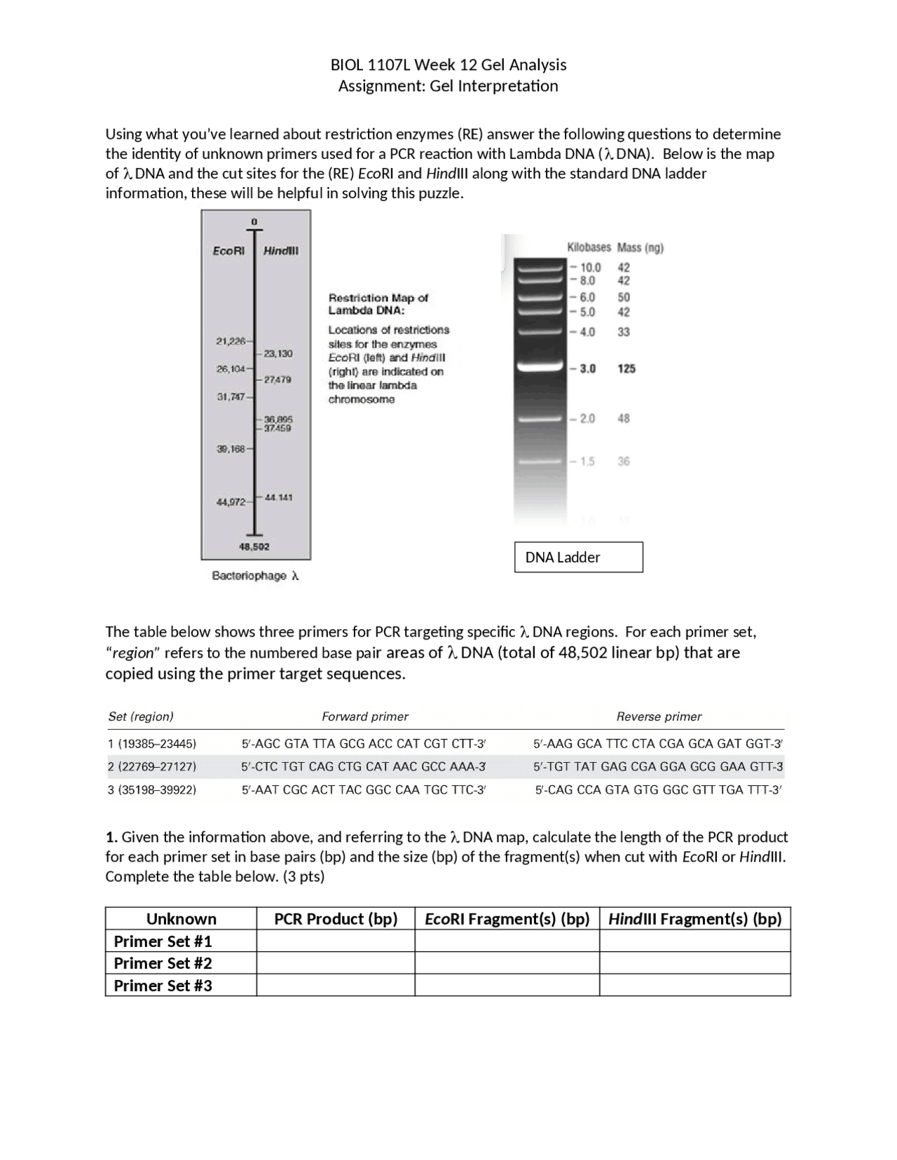 Biol 1107l Assignment Help Assignments Biology Docsity