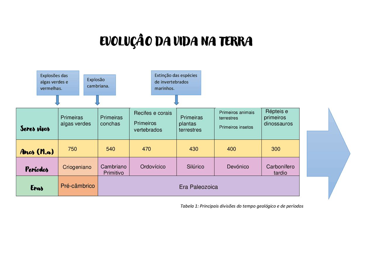 Evolução De Vida Na Terra Slides Biologia Docsity