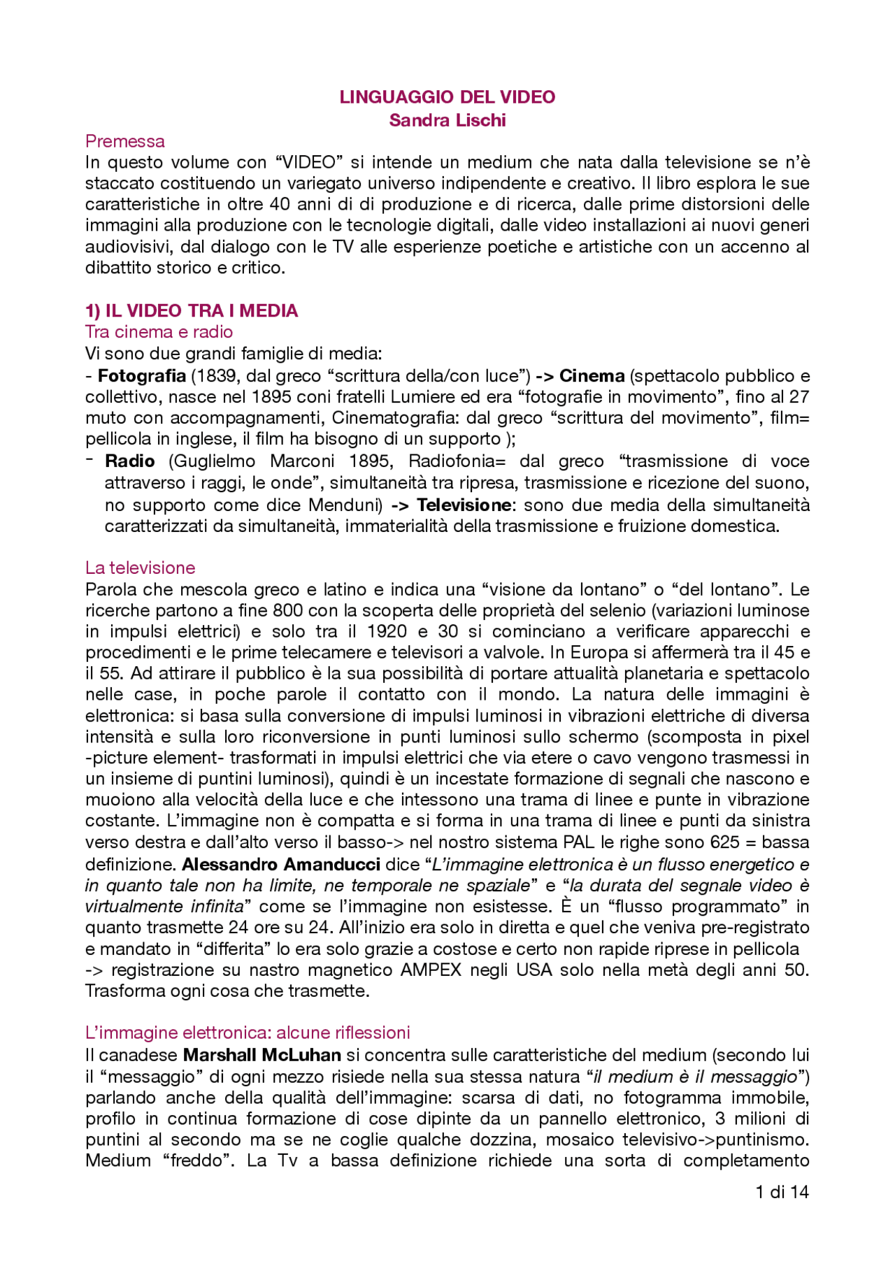 Riassunto Libro Linguaggio Del Video Sandra Lischi Docsity