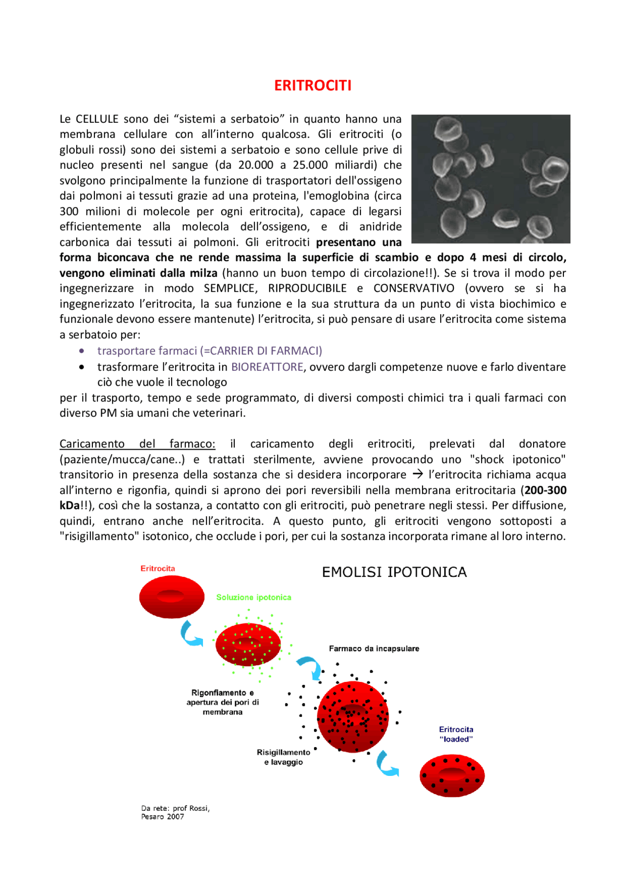 ERITROCITI COME SISTEMI A SERBATOIO - Docsity