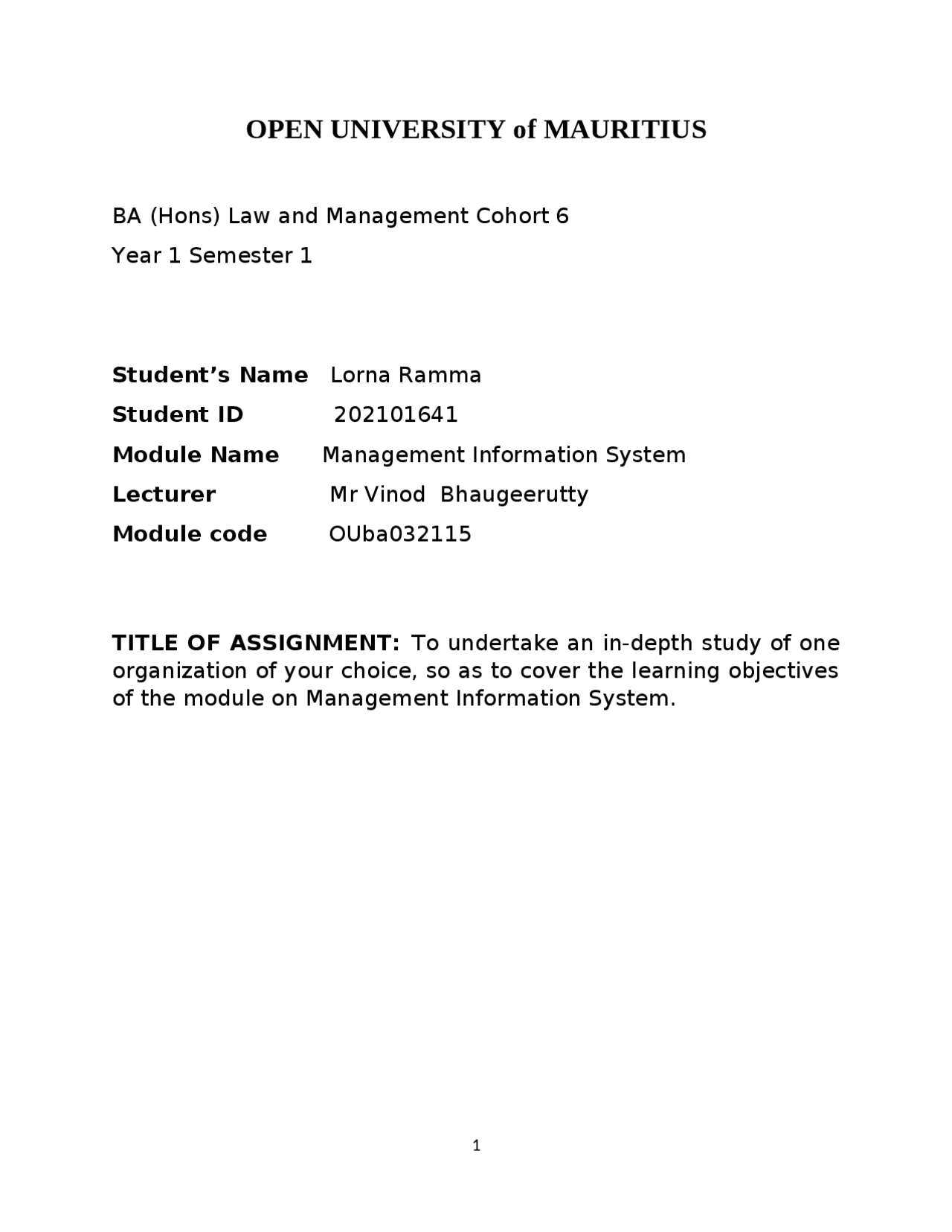 Management Information System Docsity