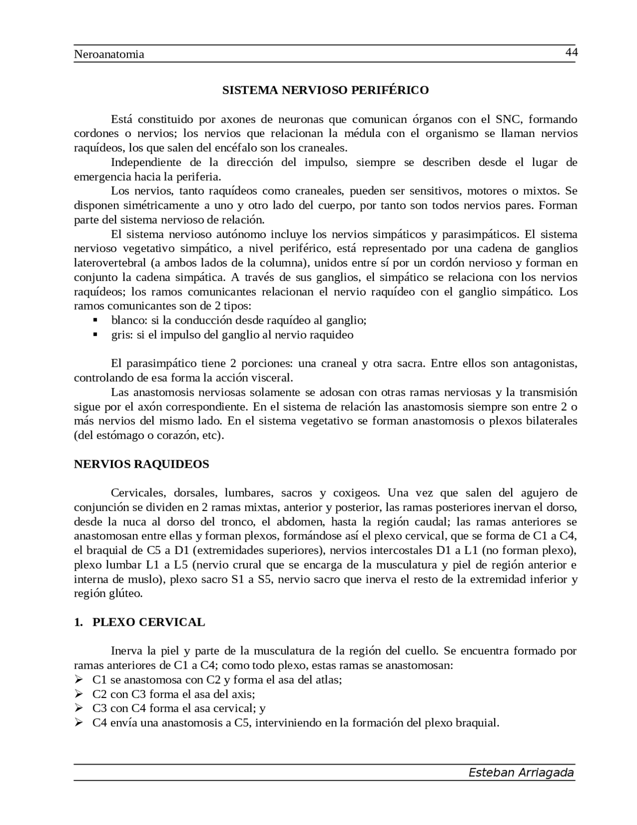 Neuroanatomía Sistema Nervioso Periférico Nervios Docsity