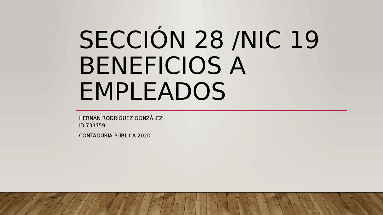 NIC 19 APUNTES Y ESQUEMAS - Docsity