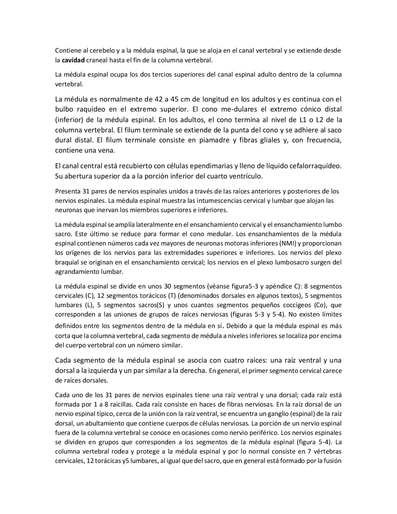 Cavidad Raquídea Resumenes Resúmenes De Anatomía Docsity