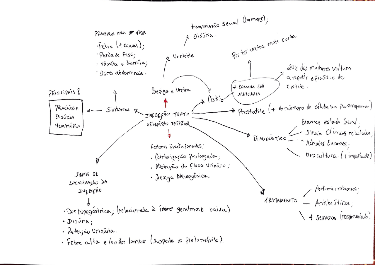 Mapa Mental (manuscrito) - Docsity