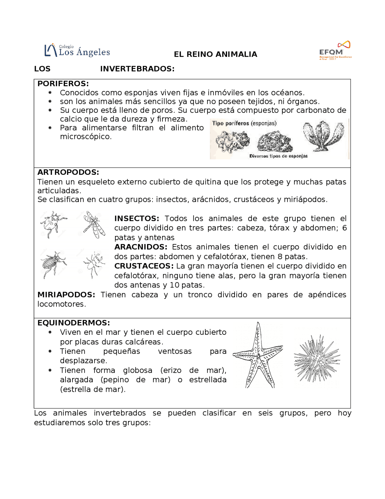 Los invertebrados animales sin esqueleto - Docsity