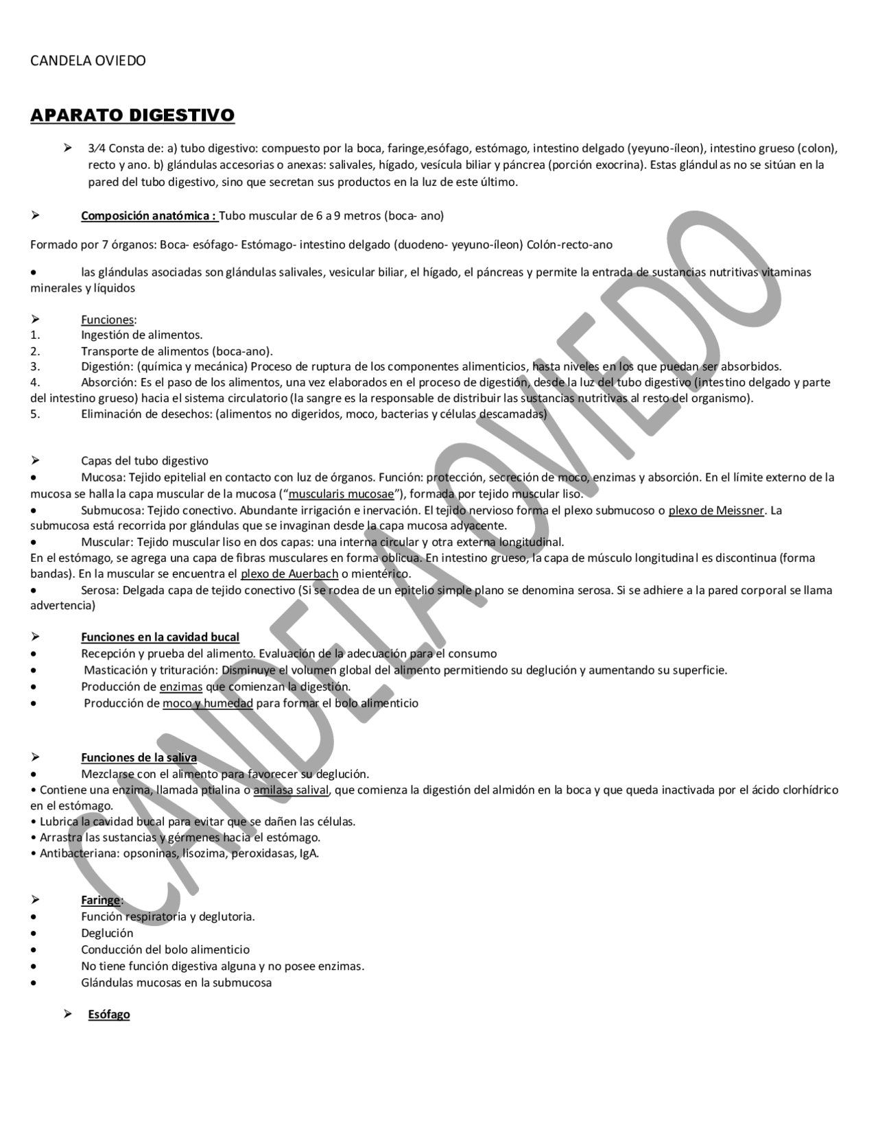 Aparato digestivo resumen - Docsity