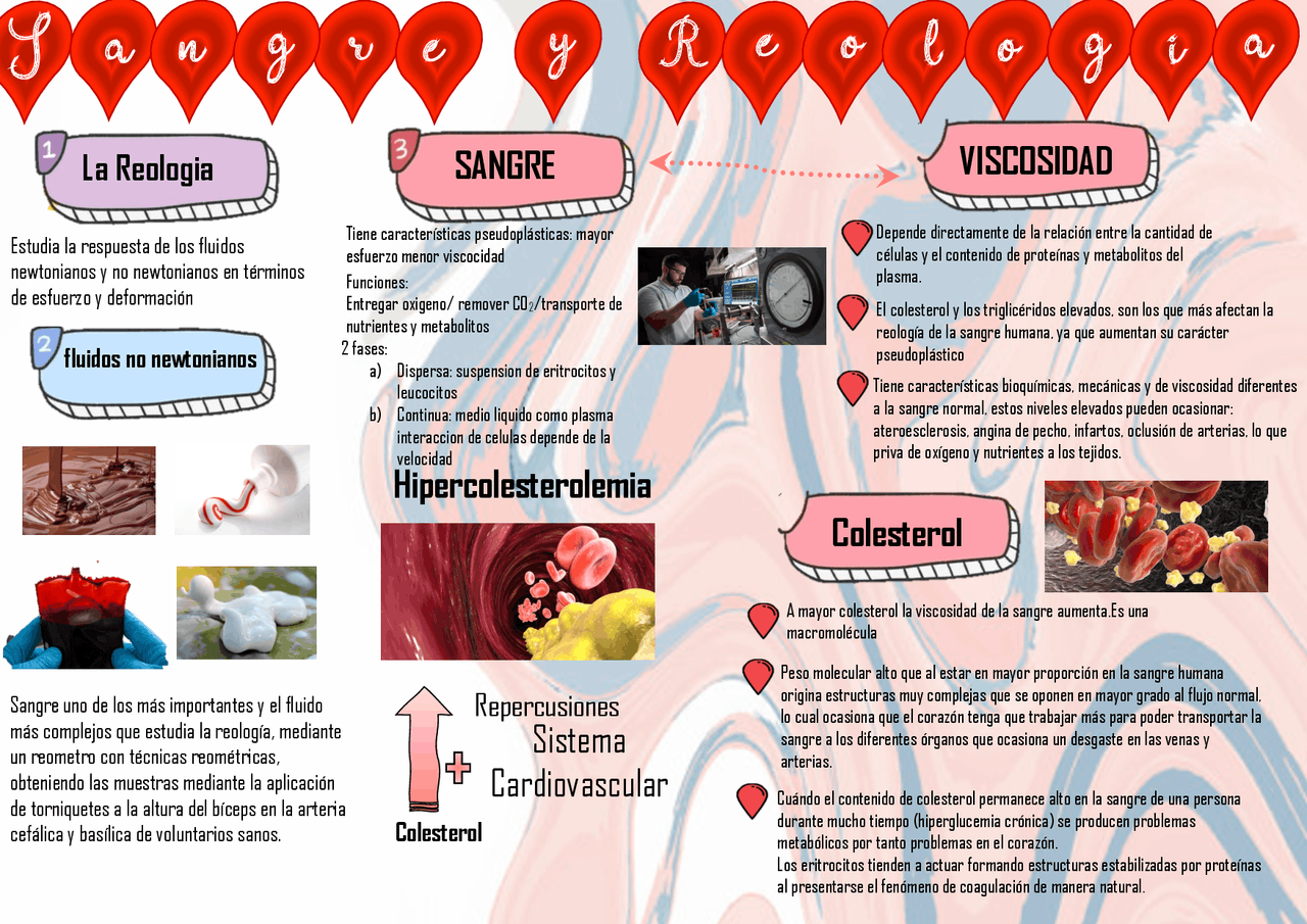 Sangre y Reologia en la viscosidad de la sangre | Apuntes de ...