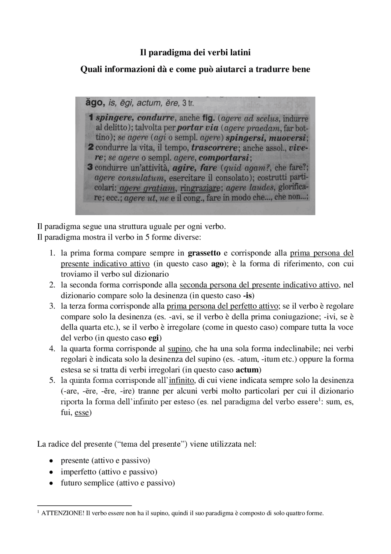 Paradigma Dei Verbi Latini Cosa Cè Da Sapere Docsity
