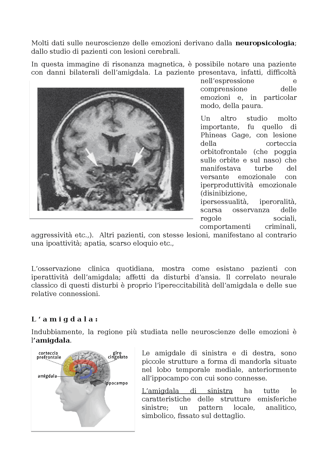 Le Emozioni Neuroscienze Cognitive Docsity