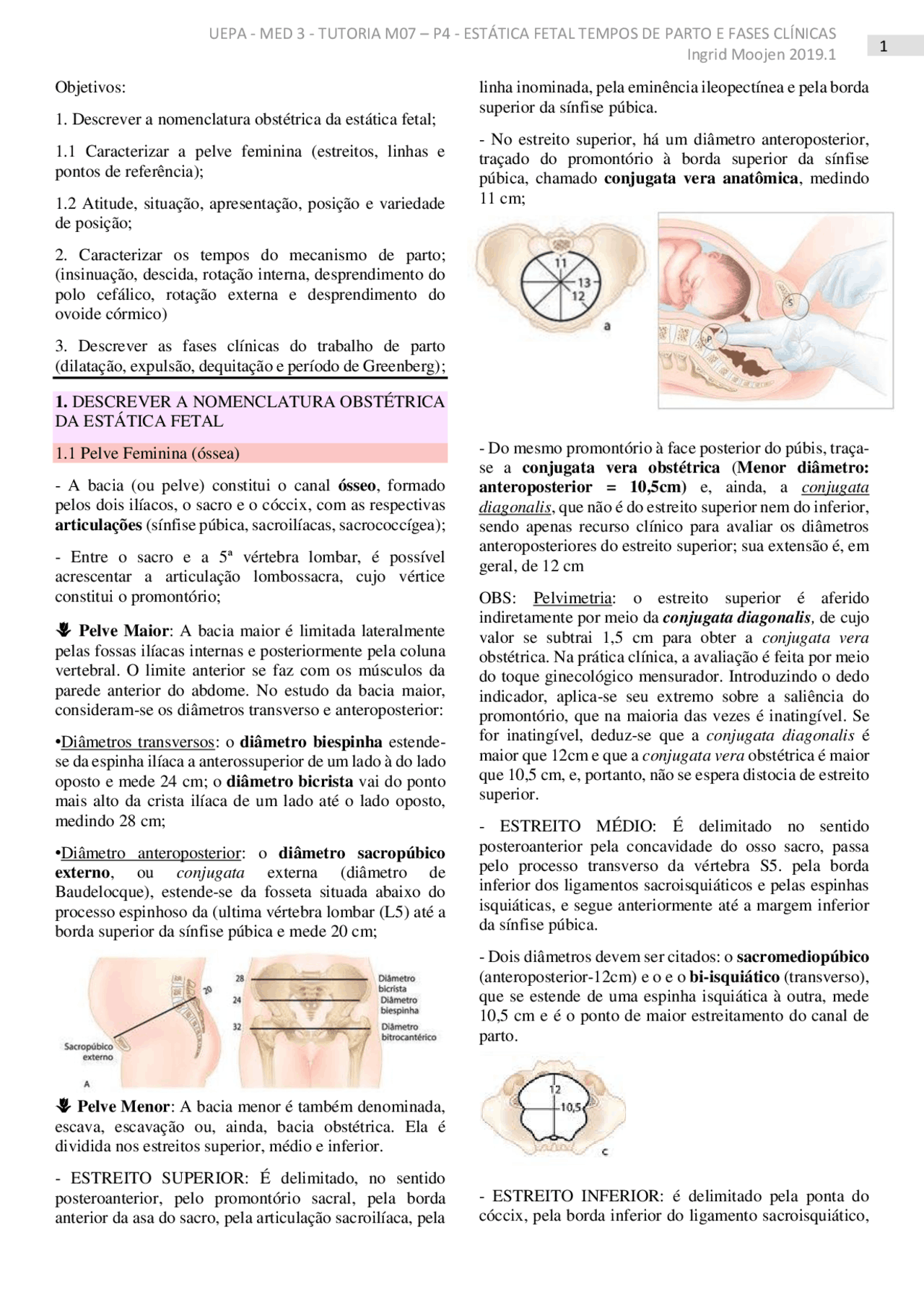 Estática fetal, tempos de parto e fases clínicas do parto | Resumos Obstetrícia | Docsity