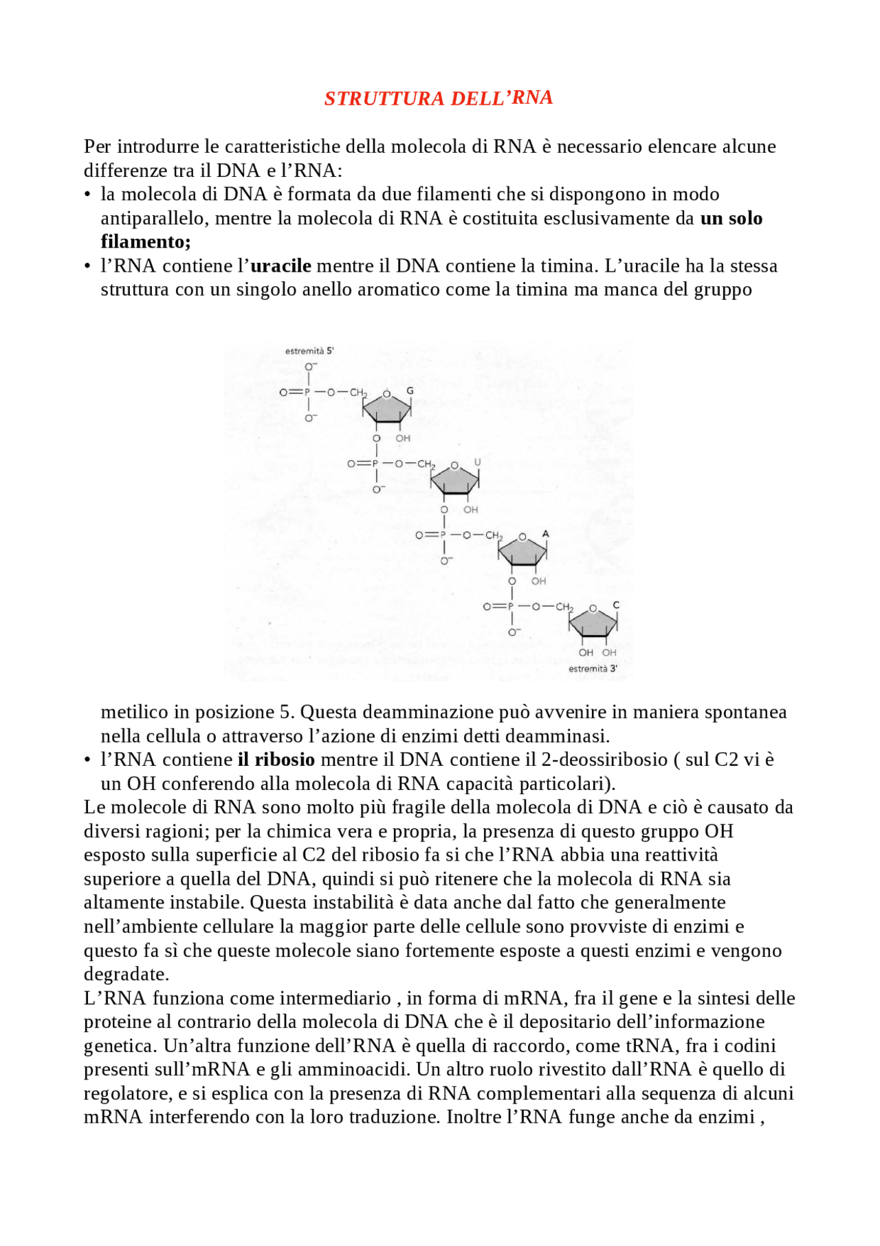 Struttura Dell Rna Docsity