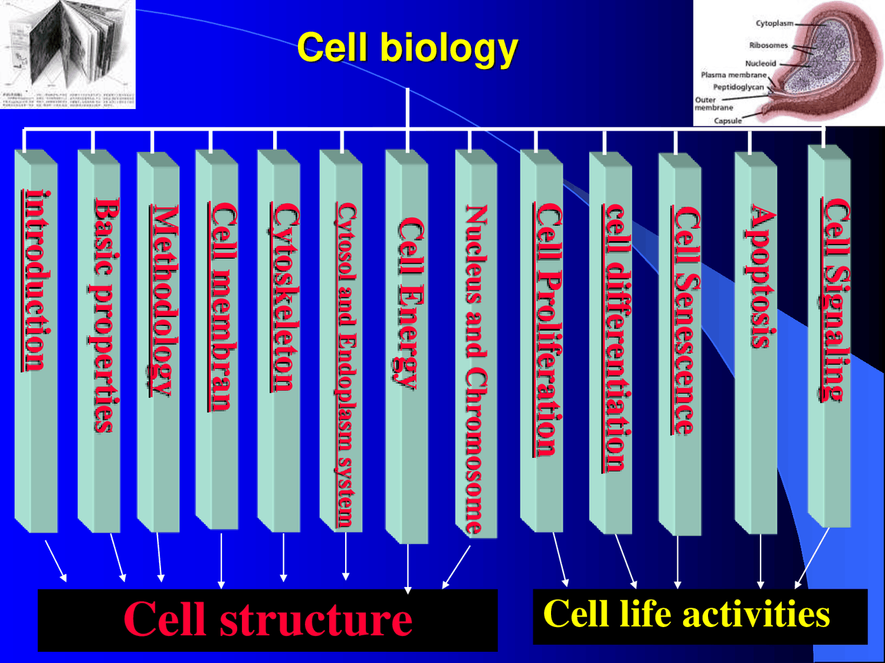 Cell biology, methodology,memberane,... - Docsity