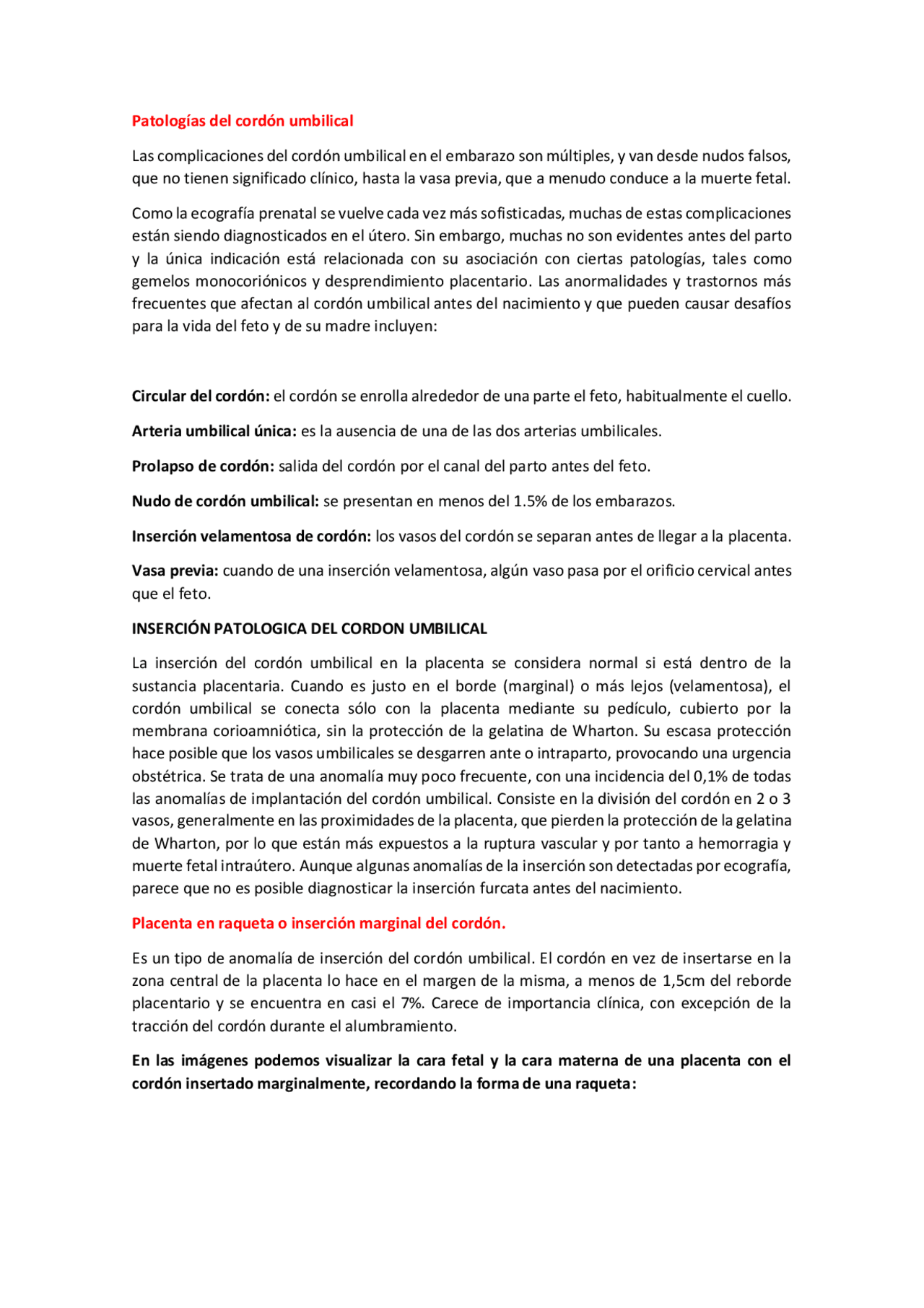 Diapositivas De Embriologia Slides De Anatomie Docsity