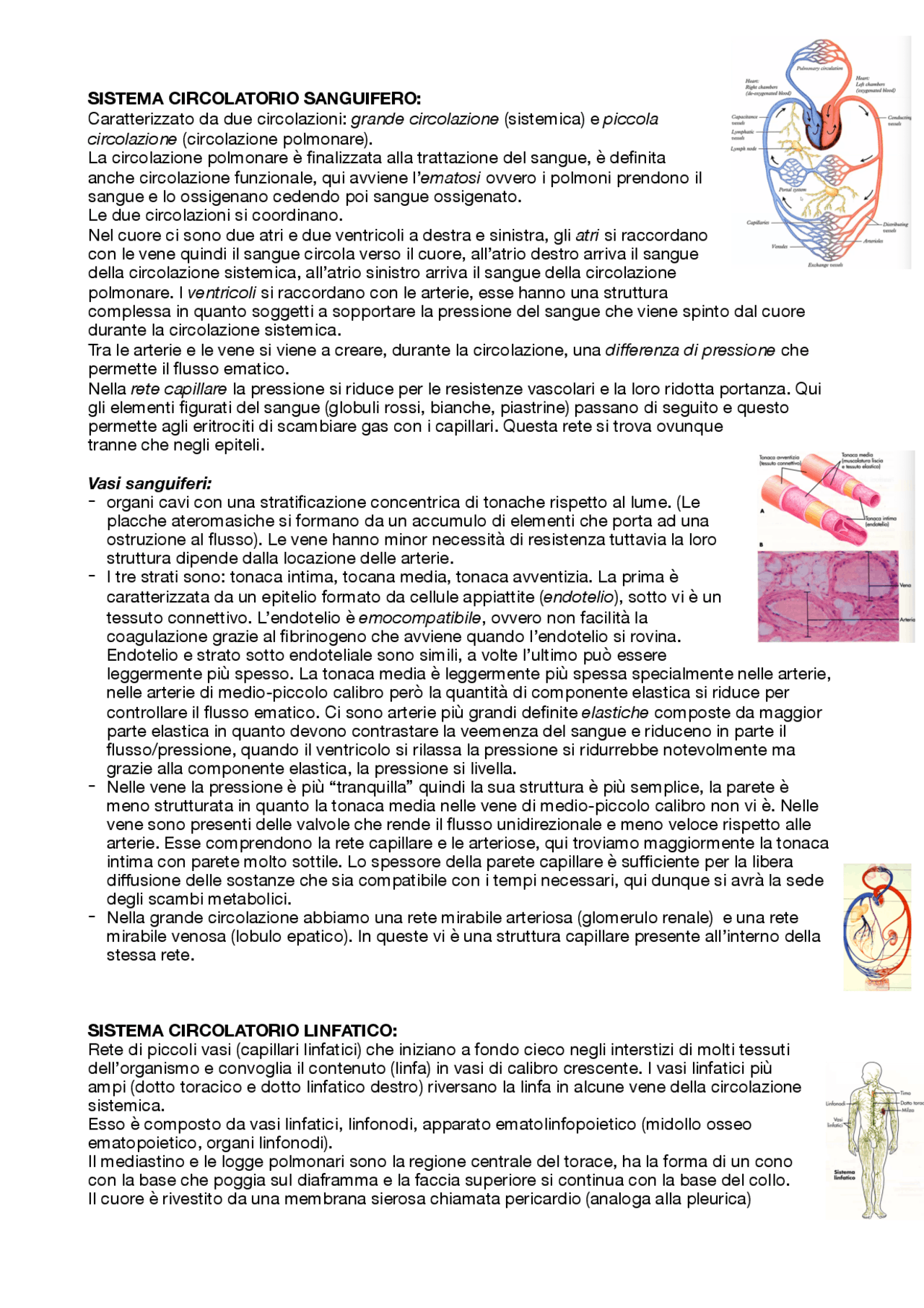 Appunti Sistema Circolatorio Docsity