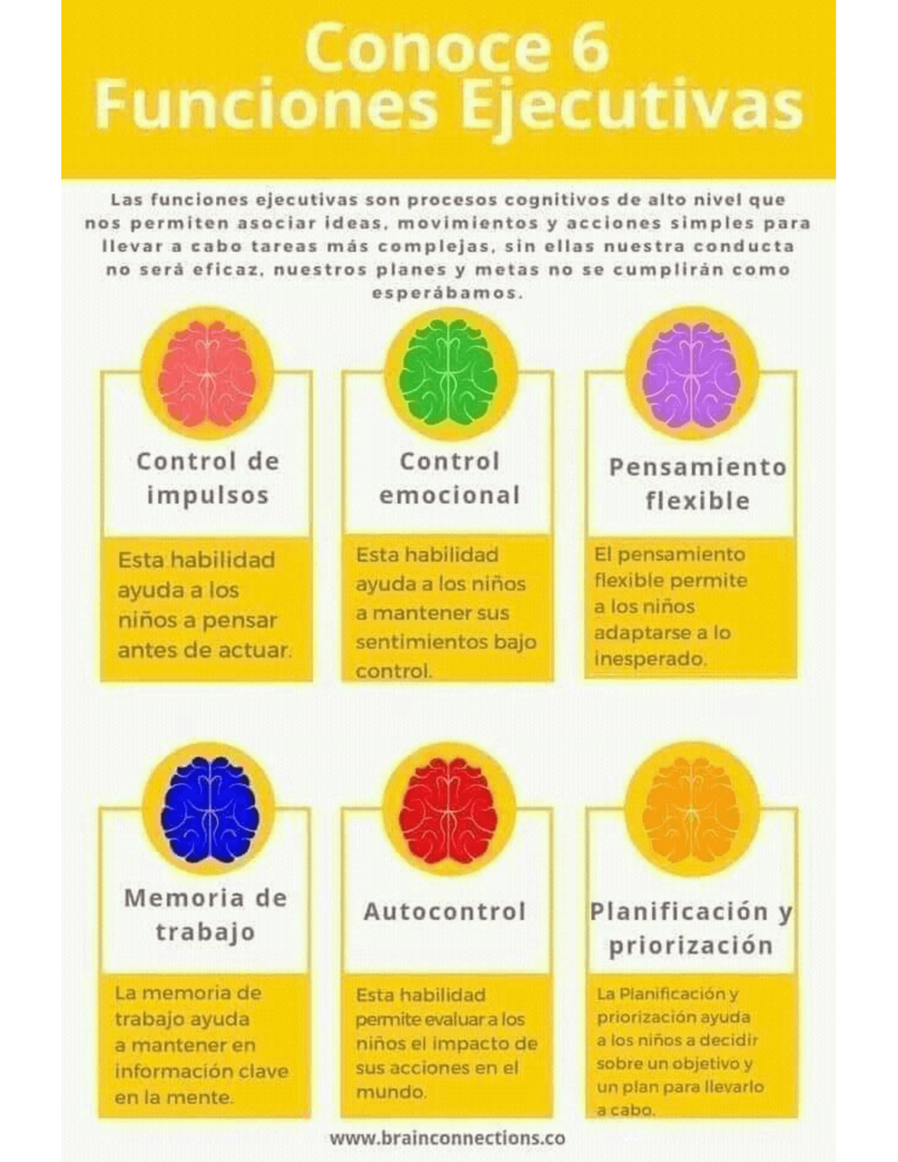 Funciones ejecutivas - Docsity